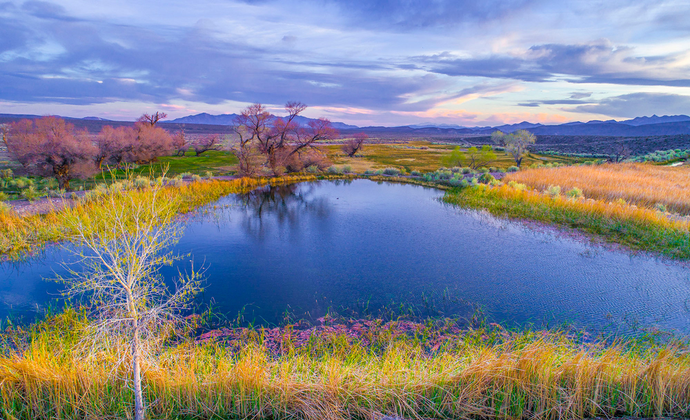 Headwaters of the Amargosa – Nevada Magazine