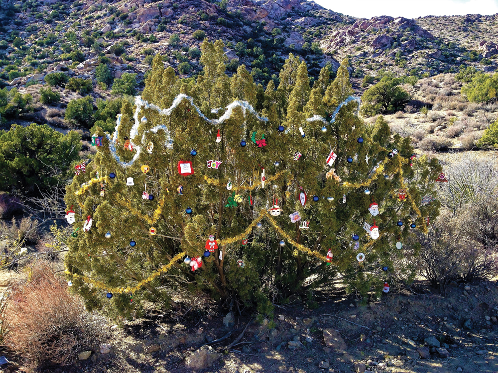 Take the Road Less Traveled – Nevada Magazine