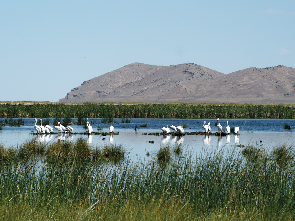 Ruby Lake National Wildlife Refuge – Nevada Magazine